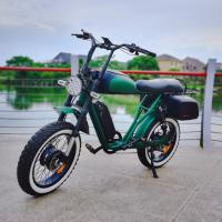China 20 Inch Dual Motor Electric Fat Bike 48V 500W 7 Speed Full Color Display Hydraulic Brakes for sale
