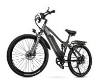 China 27 29 Inch Electric Mountain Bike 750W Motor 48V 17Ah Lithium Battery for sale