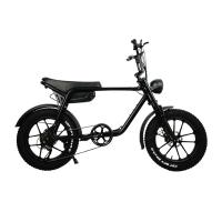 China 48V 15Ah 750W Electric Fat Bike 20x4.0 Tire 7 Speed with Integrated Wheels for sale