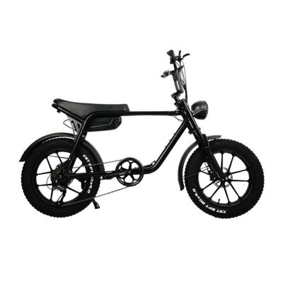 China 48V 15Ah 750W Electric Fat Bike 20x4.0 Tire 7 Speed with Integrated Wheels for sale