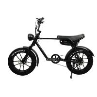 China 48V 15Ah 750W Electric Fat Bike 20x4.0 Tire 7 Speed with Integrated Wheels for sale