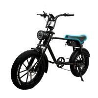 China 48V 15Ah 750W Electric Fat Bike 20x4.0 Tire 7 Speed with Integrated Wheels for sale