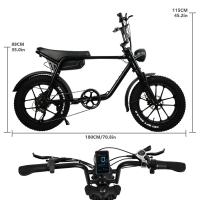 China 48V 15Ah 750W Electric Fat Bike 20x4.0 Tire 7 Speed with Integrated Wheels for sale