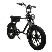 China 48V 15Ah 750W Electric Fat Bike 20x4.0 Tire 7 Speed with Integrated Wheels for sale