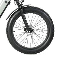China 48V 15Ah Fat Tire Electric Bike 26 Inch Bafang Mid Motor Shimano 8 Speed Ebike for sale