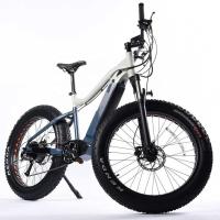 China 26 Inch Electric Fat Tire Bike 48V 14.5AH Lithium Battery Bafang 750W Motor Disc Brake for sale