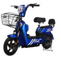 China 14 Inch Full Suspension Electric City Bike 350W 48V 12Ah 2 Seat E-Bicycle for sale