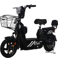 China 14 Inch Full Suspension Electric City Bike 350W 48V 12Ah 2 Seat E-Bicycle for sale