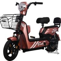 China 14 Inch Full Suspension Electric City Bike 350W 48V 12Ah 2 Seat E-Bicycle for sale