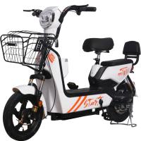 China 14 Inch Full Suspension Electric City Bike 350W 48V 12Ah 2 Seat E-Bicycle for sale
