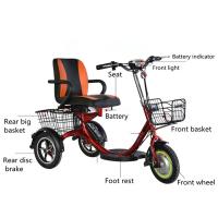 China 48V 250W Adult Electric Tricycle for Handicapped with Rear Double Disc Brake 26KGS for sale