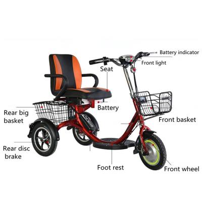 China 48V 250W Adult Electric Tricycle for Handicapped with Rear Double Disc Brake 26KGS for sale