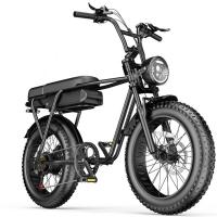 China 48V 400W Electric Fat Tire Bike with Disc Brake 20x5.0 Tires Max Speed 40km/h for sale