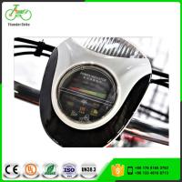 China 48V 250W Adult Electric Tricycle for Handicapped with Rear Double Disc Brake 26KGS for sale