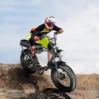 China 48V 400W Electric Fat Tire Bike with Disc Brake 20x5.0 Tires Max Speed 40km/h for sale