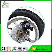 China 48V 250W Adult Electric Tricycle for Handicapped with Rear Double Disc Brake 26KGS for sale