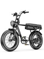 China 48V 400W Electric Fat Tire Bike with Disc Brake 20x5.0 Tires Max Speed 40km/h for sale