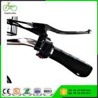 China 48V 250W Adult Electric Tricycle for Handicapped with Rear Double Disc Brake 26KGS for sale