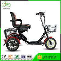 China 48V 250W Double Basket Adult Electric Tricycle 30-40km Range 120kg Load CE Certified for sale