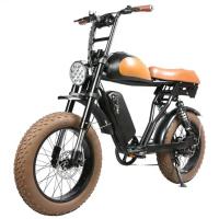 China 48V 500W Rear Hub Motor Electric Fat Tire Bike 20x4 Full Suspension Ebike for Adults for sale