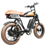 China 48V 500W Rear Hub Motor Electric Fat Tire Bike 20x4 Full Suspension Ebike for Adults for sale
