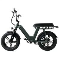 China 20 Inch Fat Tire Electric Bike 48V 500W Aluminum Alloy 2 Wheel Ebike for City Riding for sale