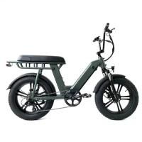 China 20 Inch Fat Tire Electric Bike 48V 500W Aluminum Alloy 2 Wheel Ebike for City Riding for sale