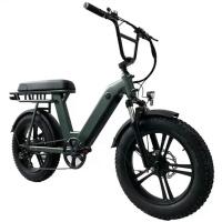China 20 Inch Fat Tire Electric Bike 48V 500W Aluminum Alloy 2 Wheel Ebike for City Riding for sale
