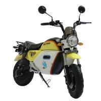 China Retro Style Electric Mini Dirt Bike 48V 500W Pedal Assisted Max Speed 35km/h for Adults for sale