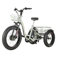 China Electric Disabled Tricycle 48V 500W Front Wheel Fat Tire Mobility Scooter Black for sale
