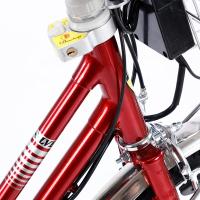 China 250W 26 Inch Electric City Bike with Pedal Assist 48V 8Ah Lithium Battery for sale