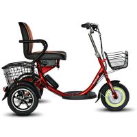 China 48V 250W Electric Tricycle for Handicapped Foldable Power Supply Lithium Battery for sale