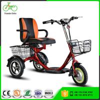 China 48V 250W Electric Tricycle for Handicapped Foldable Power Supply Lithium Battery for sale