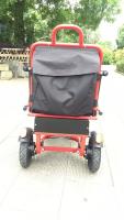China 48V 10Ah Lithium Battery Folding Electric Tricycle Scooter for Adults 120kg Load for sale
