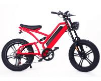 China 1000W 20 Inch Electric Fat Tire Bike 48V 16Ah Full Suspension E-Bicycle for sale