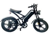 China 1000W 20 Inch Electric Fat Tire Bike 48V 16Ah Full Suspension E-Bicycle for sale