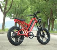 China 1000W 20 Inch Electric Fat Tire Bike 48V 16Ah Full Suspension E-Bicycle for sale