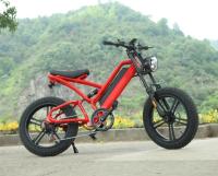 China 1000W 20 Inch Electric Fat Tire Bike 48V 16Ah Full Suspension E-Bicycle for sale