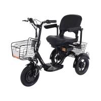 China 48V 300W 12 Inch Electric Tricycle 3 Wheel Electric Bike for Adult Cargo for sale