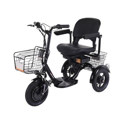 China 48V 300W 12 Inch Electric Tricycle 3 Wheel Electric Bike for Adult Cargo for sale