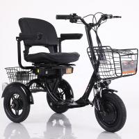 China 48V 300W 12 Inch Electric Tricycle 3 Wheel Electric Bike for Adult Cargo for sale
