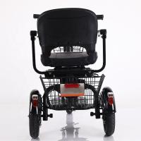 China 48V 300W 12 Inch Electric Tricycle 3 Wheel Electric Bike for Adult Cargo for sale