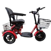 China 48V 300W 12 Inch Electric Tricycle 3 Wheel Electric Bike for Adult Cargo for sale
