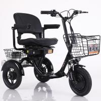 China 48V 300W 12 Inch Electric Tricycle 3 Wheel Electric Bike for Adult Cargo for sale