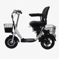 China 48V 300W 12 Inch Electric Tricycle 3 Wheel Electric Bike for Adult Cargo for sale