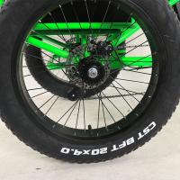 China 20 Inch Fat Tire 3 Wheel Electric Tricycle 48V 1000W Motor Long Range for sale