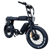 China 48V 1500W Dual Motor Fat Tire Electric Bike with 20x4.0 Tires and Hydraulic Disc Brakes for sale