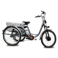 China Adult 3 Wheel Electric Tricycle 48V 250W Motor Cargo Bike with 20 Inch Tires for sale