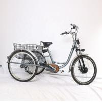 China Adult 3 Wheel Electric Tricycle 48V 250W Motor Cargo Bike with 20 Inch Tires for sale