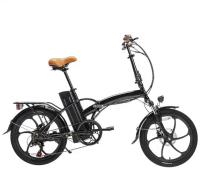 China Adult Electric Folding Bike 20 Inch 36V 250W E Bike with LCD Display for sale